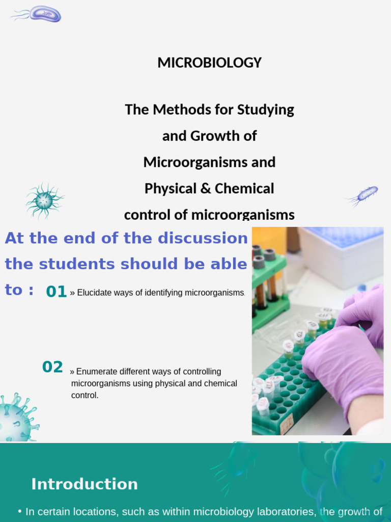 MICROBIOLOGY IDENTIFYING MICROORGANISMS 1 | PDF | Growth Medium | Staining