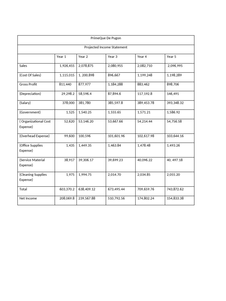 Income Statement | PDF