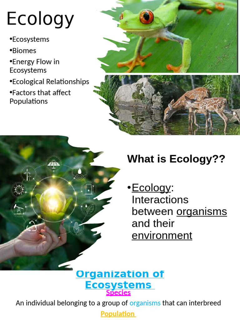 Understanding Ecology and Ecosystems | PDF | Ecosystem | Food Web
