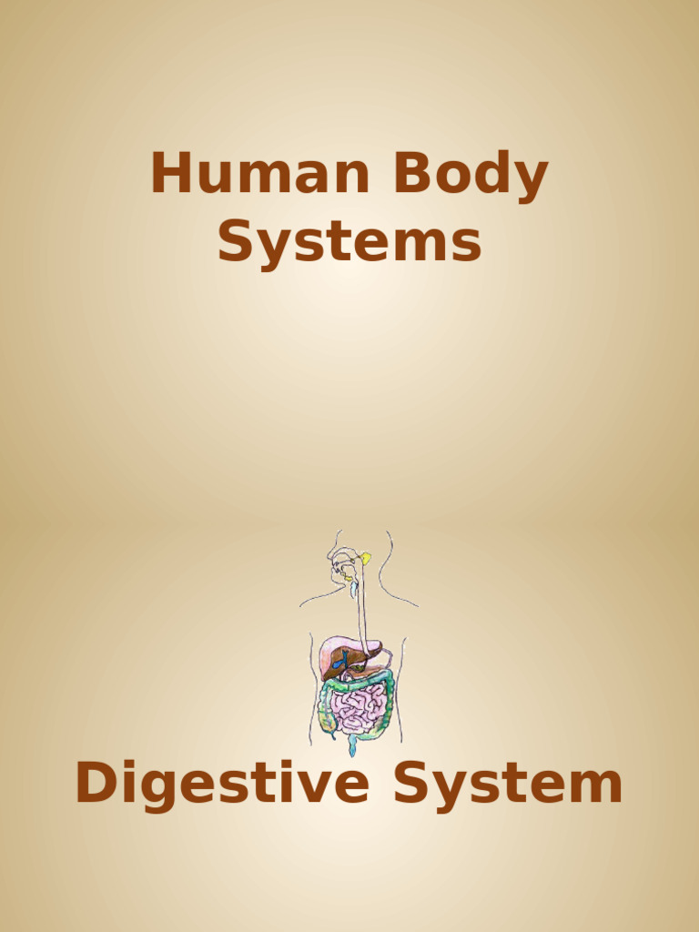 Grade 7 Human Body Systems | PDF | Lymphatic System | Human Body