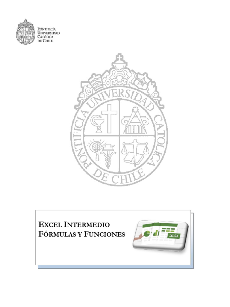 Manual Excel Intermedio - Fórmulas y Funciones | PDF | Hoja de cálculo | Microsoft Excel