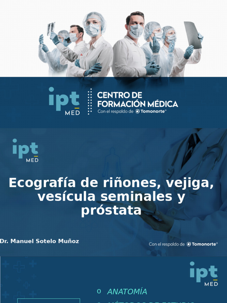 Eco RINON VEJIGA Prostata Parte 1 | PDF | Riñón | Ultrasonido médico