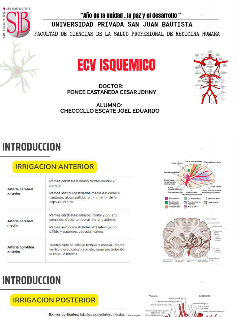 Ecv Isquemico | PDF | Carrera | Isquemia