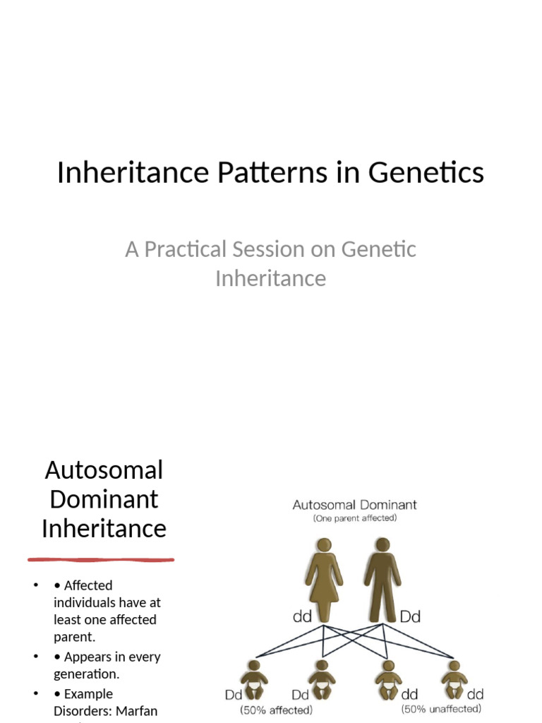 Inheritance Patterns Presentation | PDF