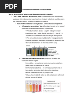 Api - 20 Ne - Microbial - Id-Sop | PDF | Nitrate