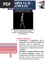 Marchas Patologicas | PDF | Pie | Medicina CLINICA