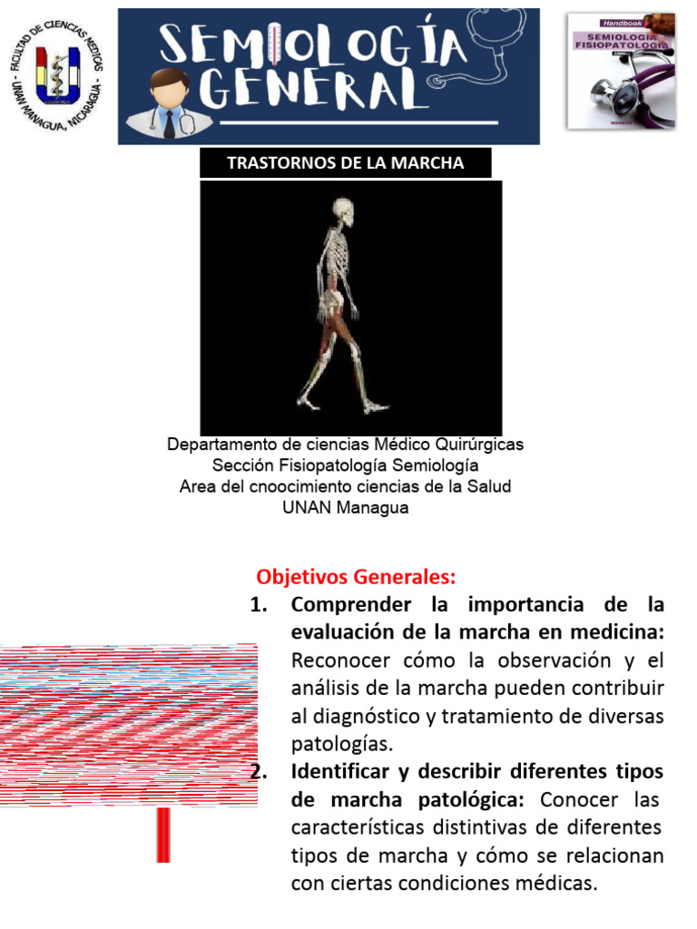 Tipos de marcha 2024.pptx | PDF | Esclerosis múltiple | Neurología