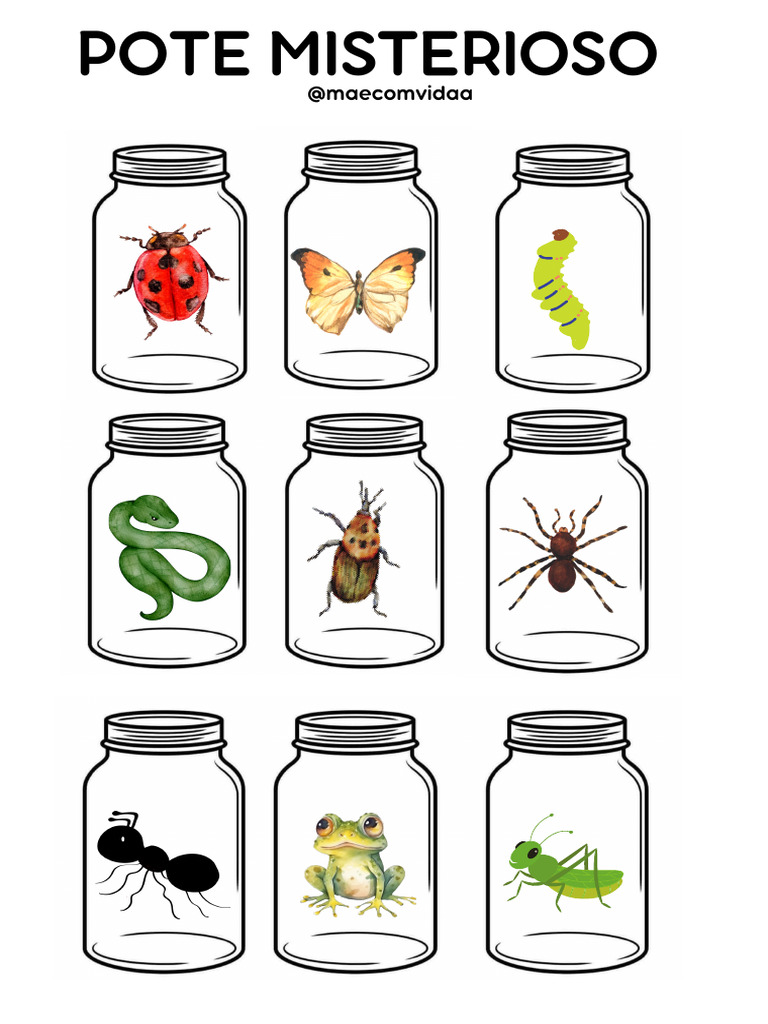 Pote de insetos | PDF