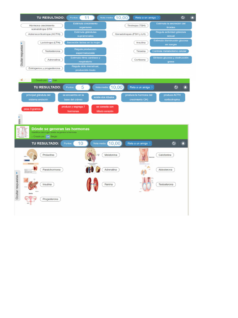 Capturas Anatomía | PDF