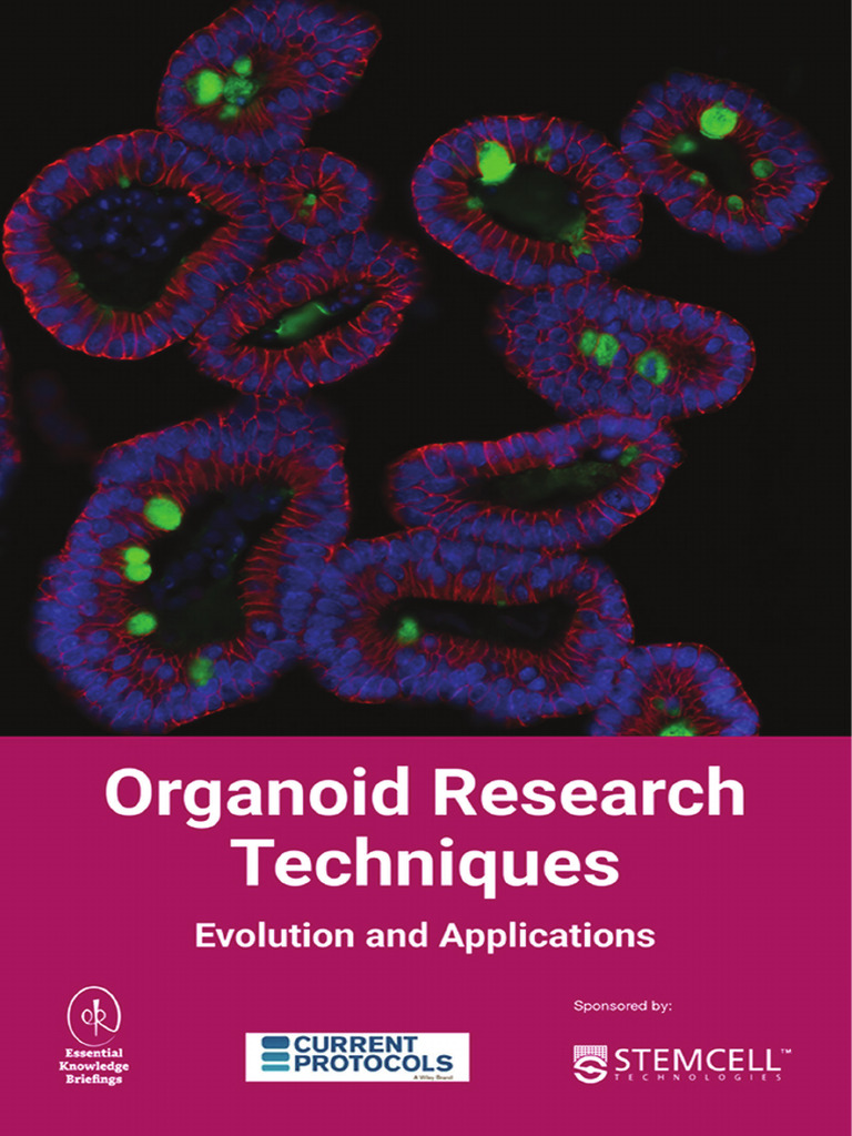 Organoid Research Techniques Evolution and Applications | PDF | Nervous ...