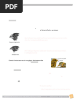 Beaks_of_Finches_Lab_Practice (2) | PDF | Ecological Niche | Birds