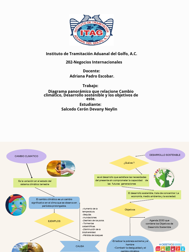 Gráfico Diagrama de Flujo de Procesos Profesional Simple Multicolor ...