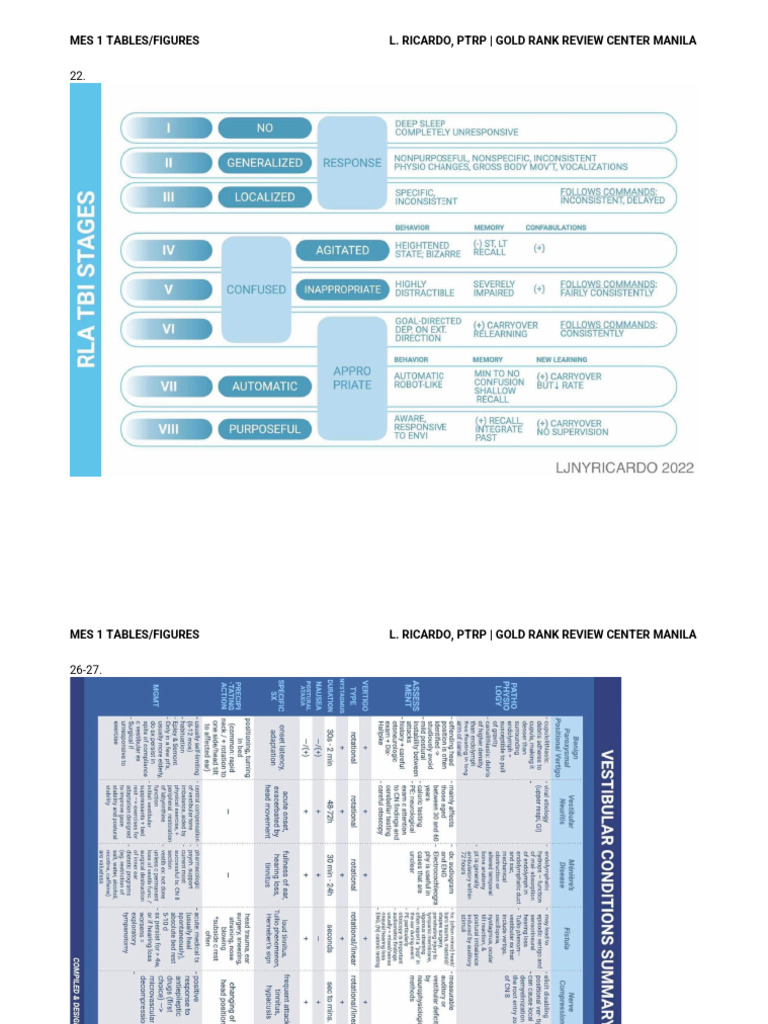 MES 1 Tables and Figures Overview | PDF