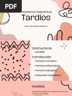 Fase Cromatica, Enfisematosa, Licuefactiva, Esqueletización y ...