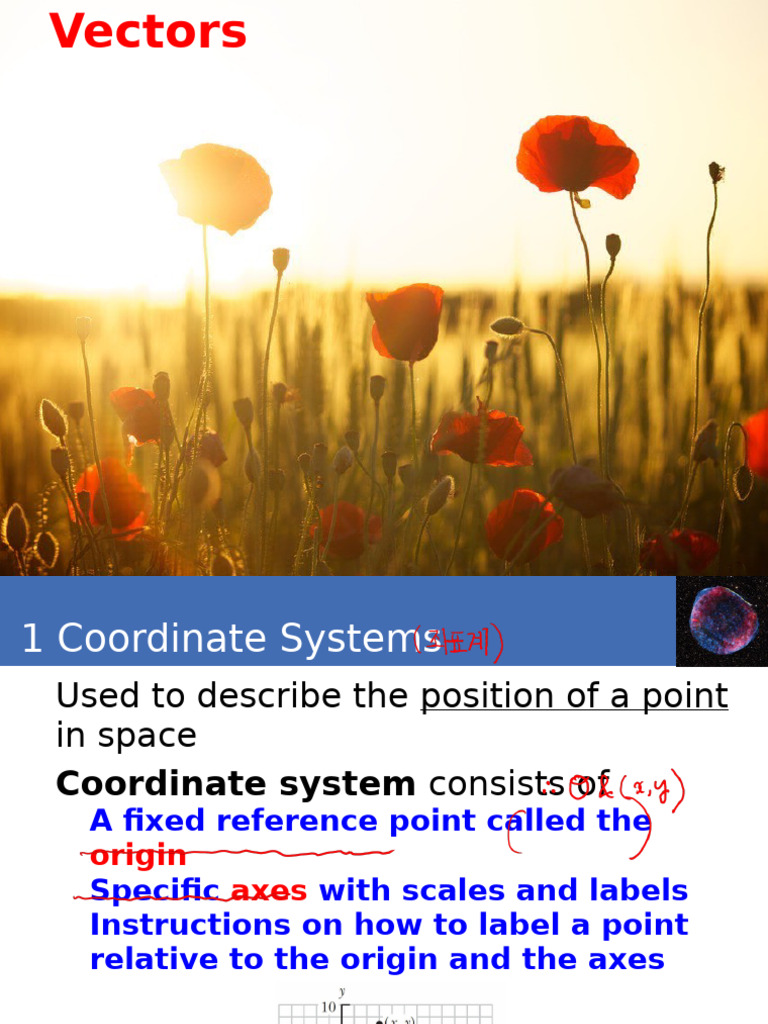 Understanding Vectors and Coordinate Systems | PDF | Euclidean Vector ...