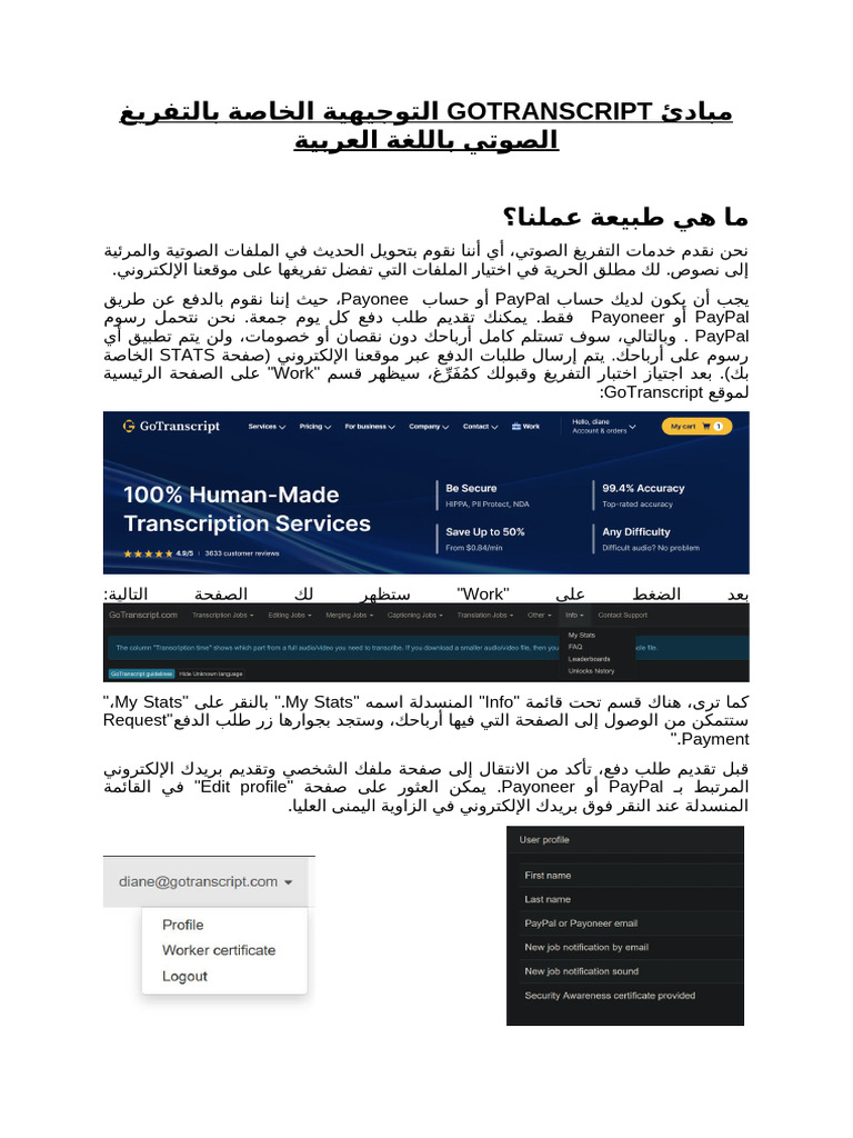 Gotranscript Transcription Guidelines (Adapted For Translation Into Multiple Languages) | PDF