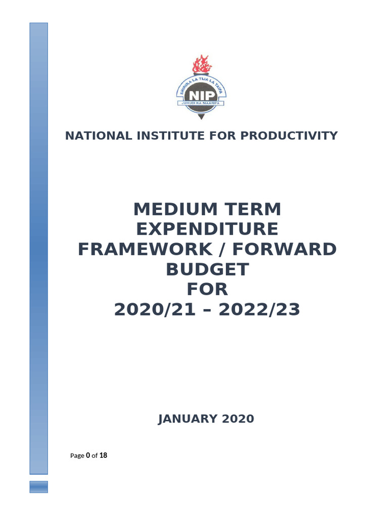 MTEF - NIP - 2020 - 2021 Draft | PDF | Employment | Marketing Strategy