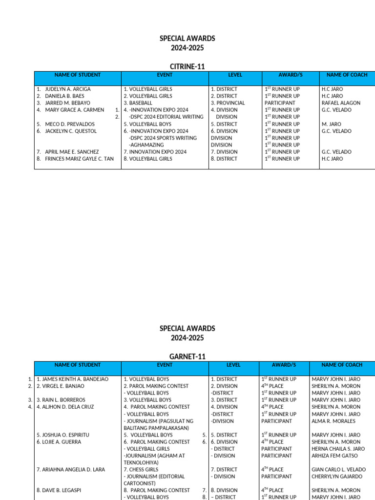 Special Awards Gr11 2024 2025 | PDF