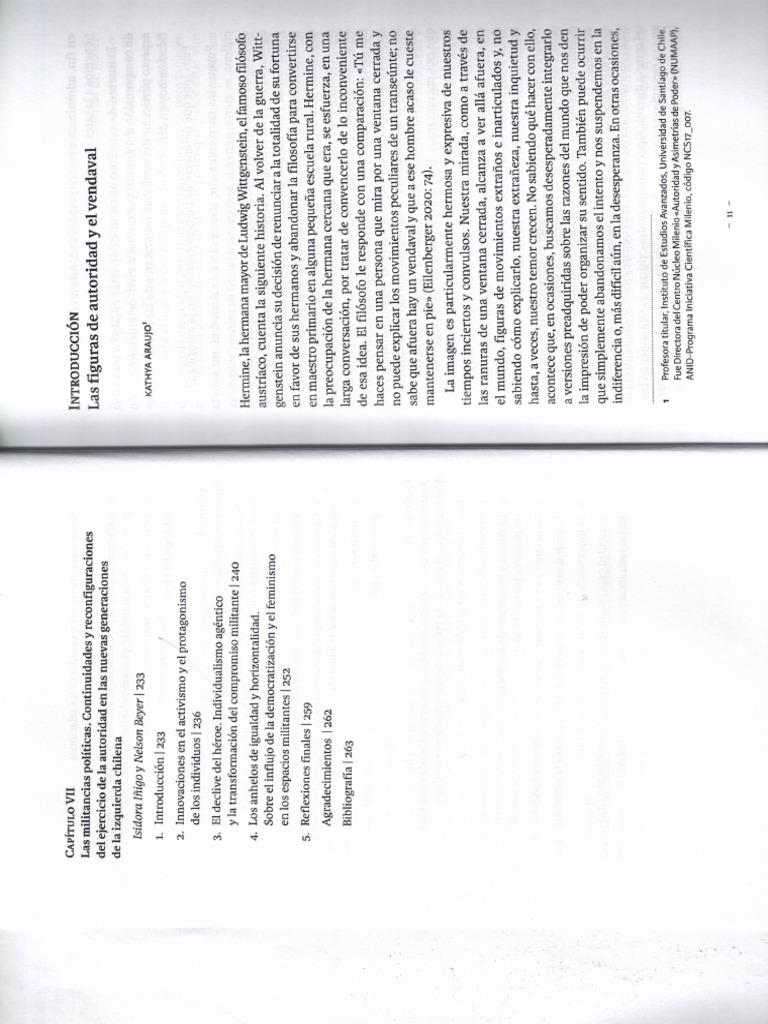 Figuras de Autoridad-Araujo | PDF