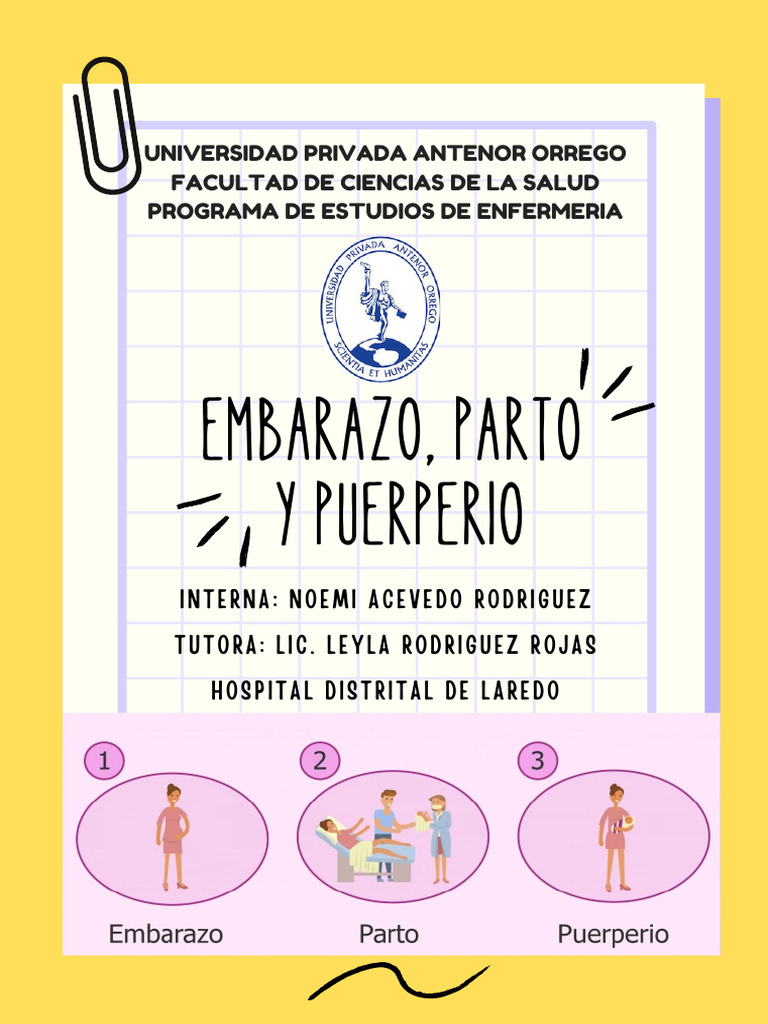Embarazo Parto y Puerperio | PDF | Parto | El embarazo