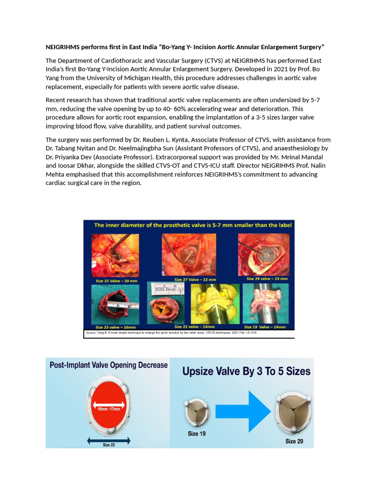 Neigrihms Bo Yang Procedure | PDF