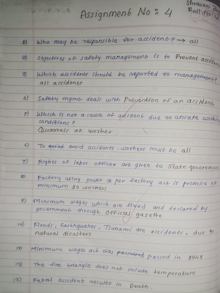 Assignment 4 MGT | PDF