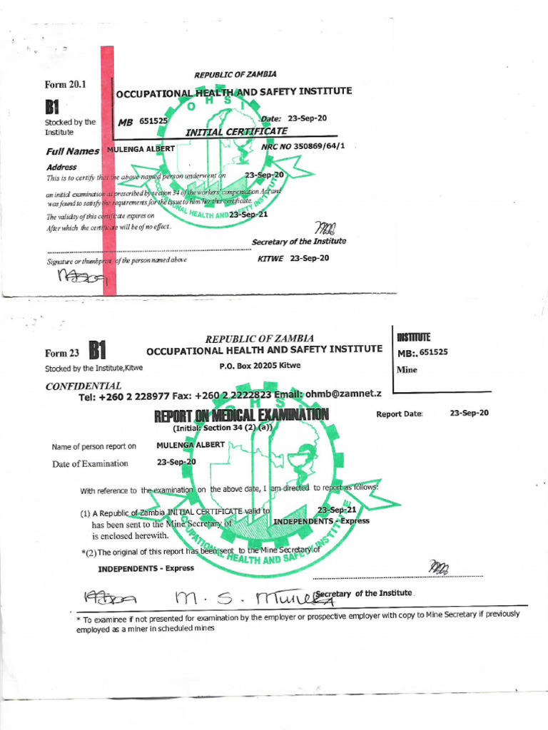 Silicosis Albert | PDF
