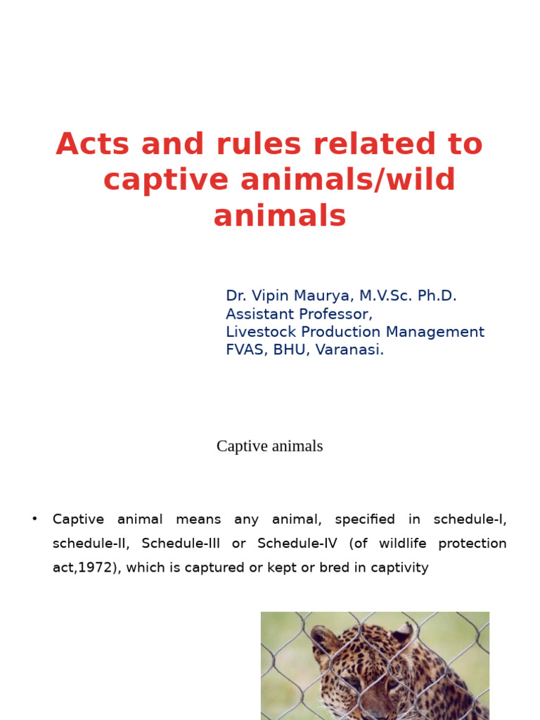 Acts and Rules Wild Animals | PDF | Hunting | Conservation Biology