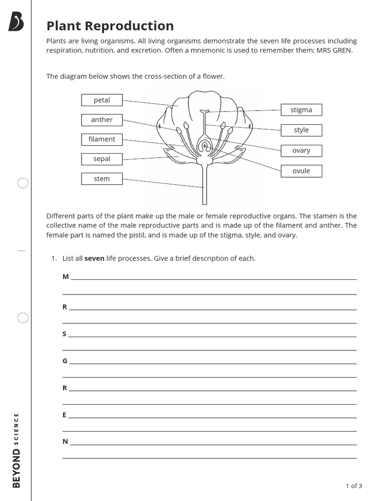 Plant Reproduction Homework Worksheet HA | PDF | Flowers | Pollination
