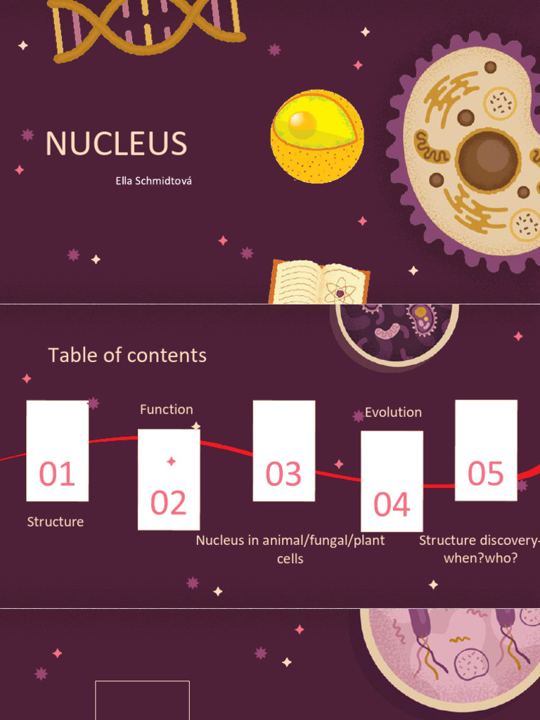 Nucleus | PDF