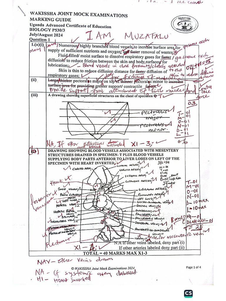 Wakissha Guide Biology p3 2024 | PDF
