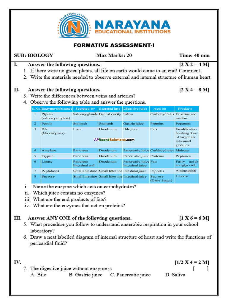 FORMATIVE ASSESSMENTS For 10th PW | PDF | Kidney | Meiosis