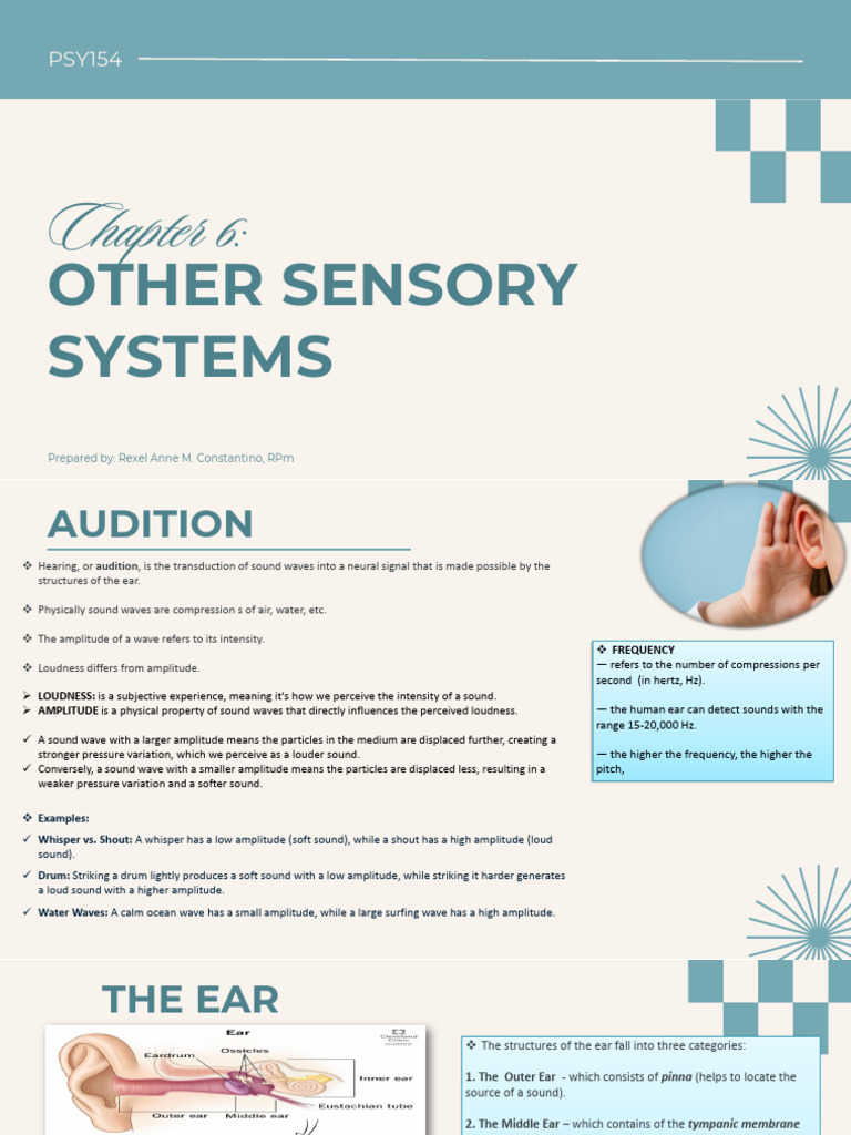 Chapter 6 Other Sensory Systems Psy154 | PDF | Senses | Taste