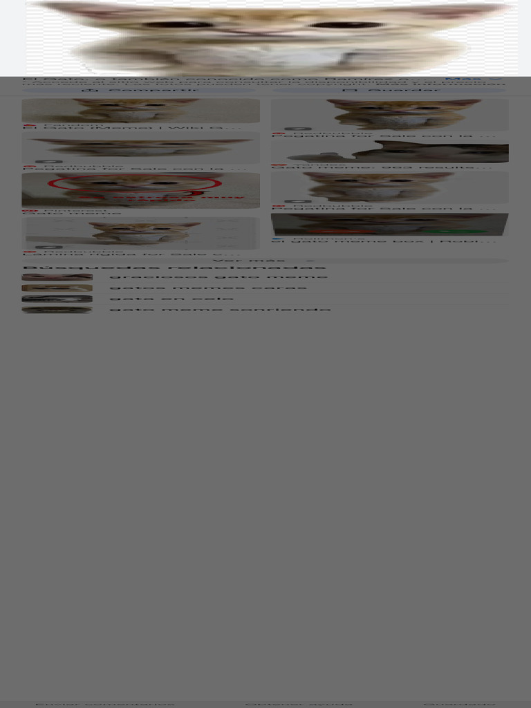 Gato Meme - Buscar Con Google | PDF