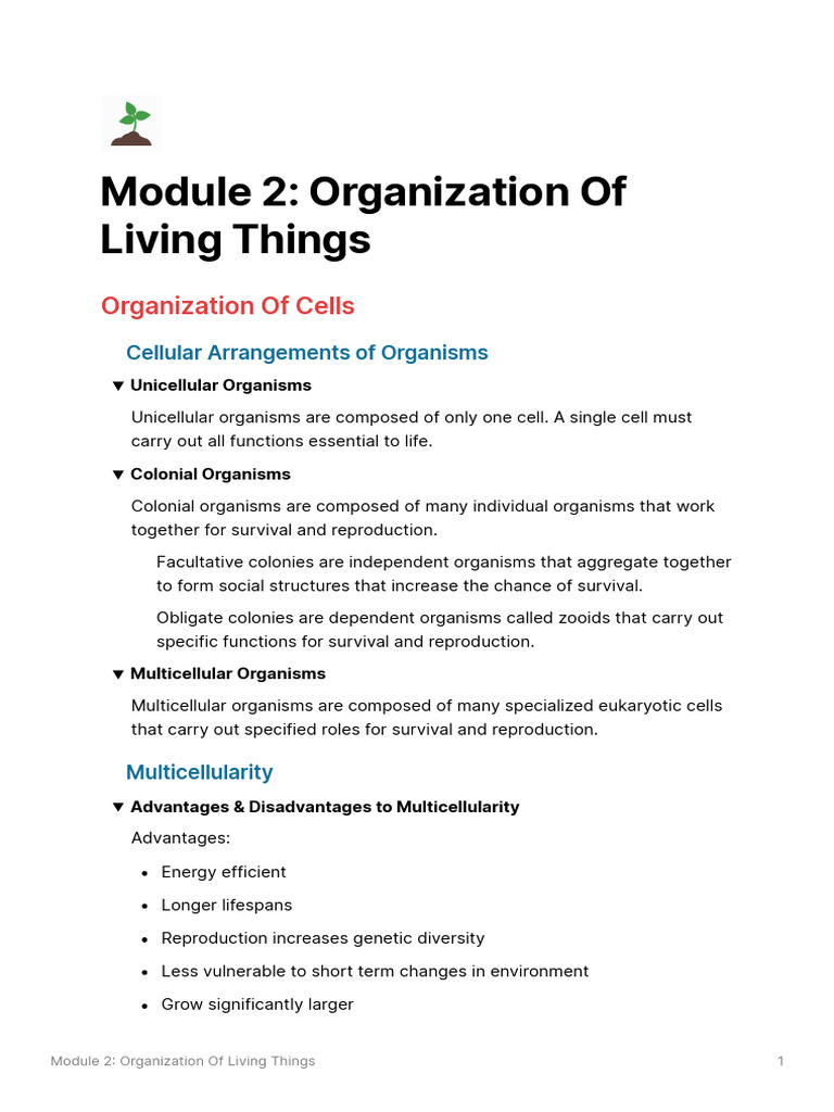 Module 2 Organization of Living Things | PDF | Stomach | Digestion