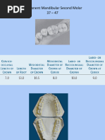 Maxillary Second Molar Anatomy Overview | PDF | Dental Anatomy | Tooth