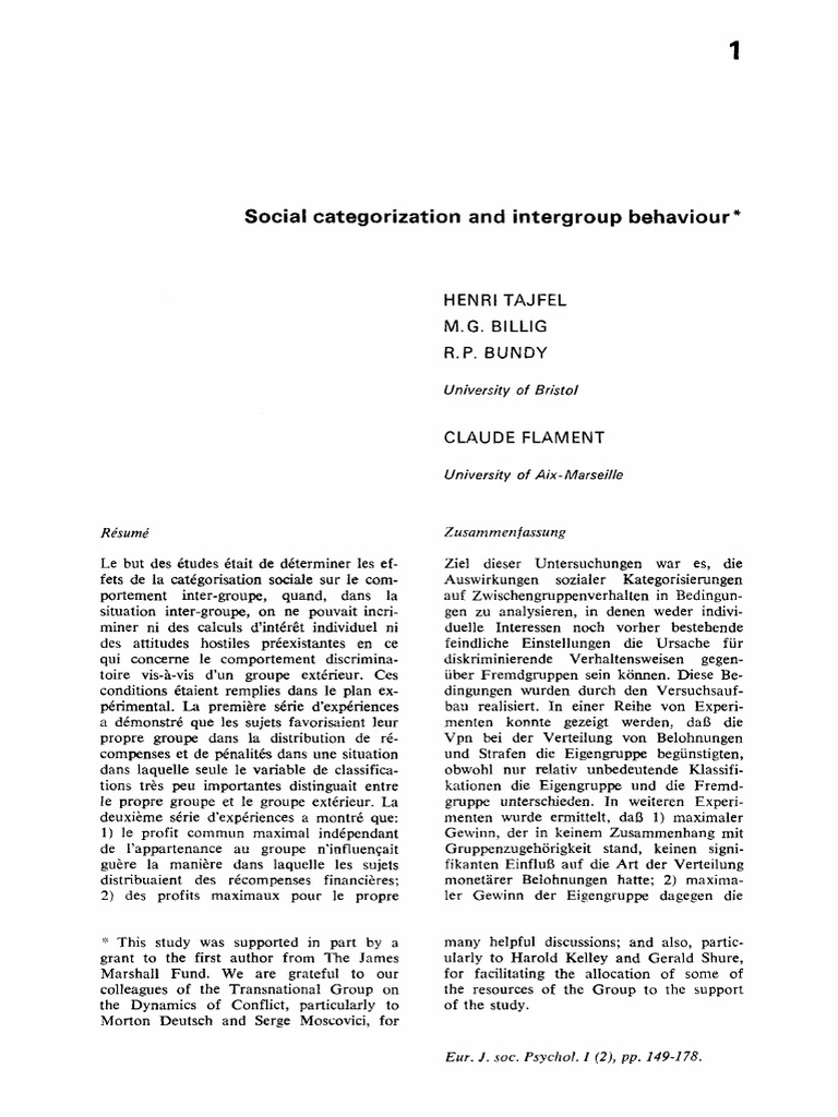 Social Categorization and Group Behavior | PDF | Matrix (Mathematics) | Group Processes