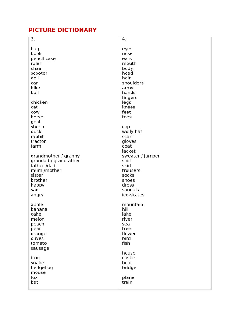 Picture Dictionary | PDF