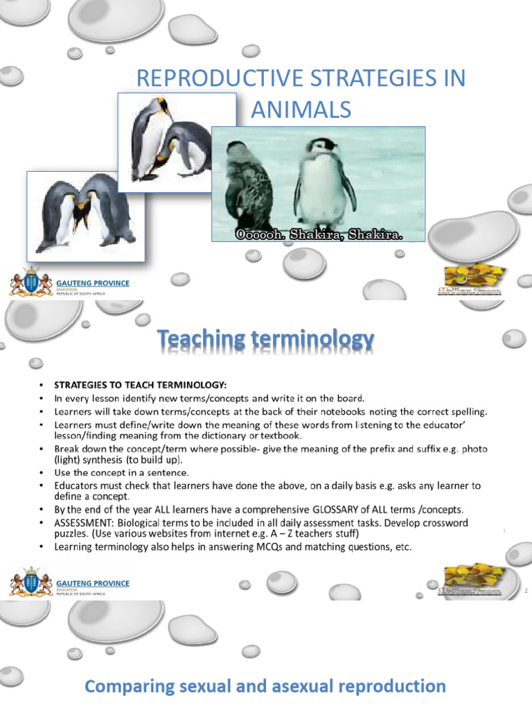 Module 3 Reproductive Strategies in Vertebrates 2023 | PDF | Egg ...