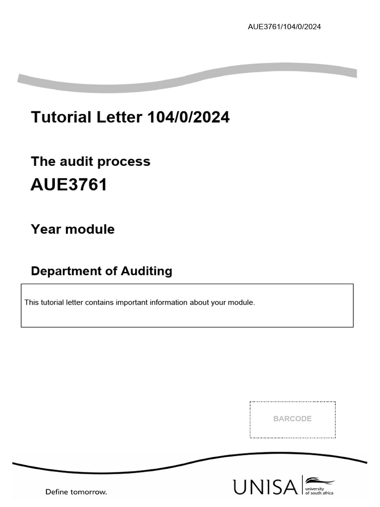AUE3761 Audit Process Tutorial 2024 | PDF | Audit | Accounting
