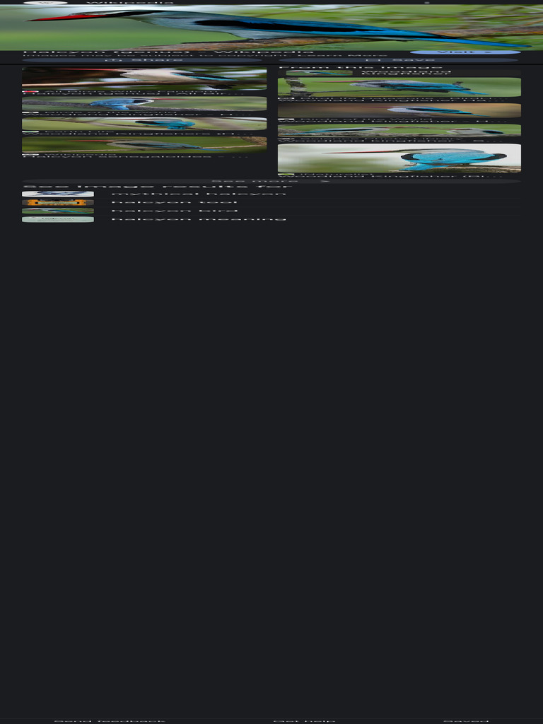 Halcyon - Google Search | PDF