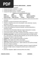 Términos de Relación, Comparación y Lateralidad de Anatomía | PDF ...