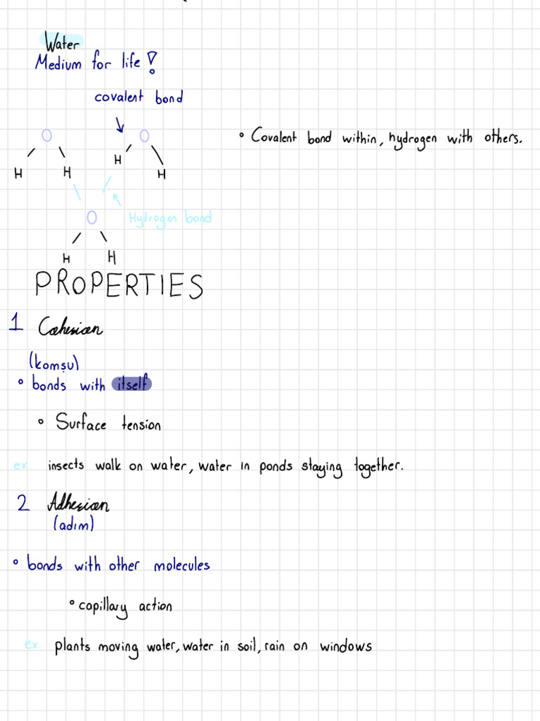 Water Notes | PDF