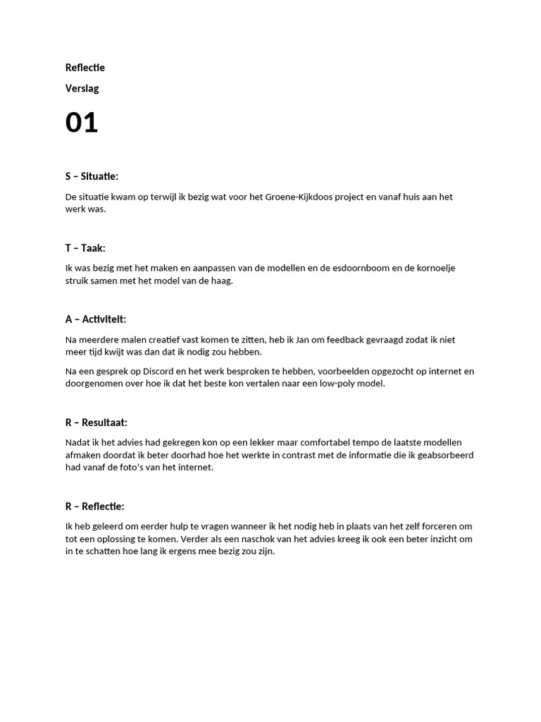 Reflectie Verslag | PDF