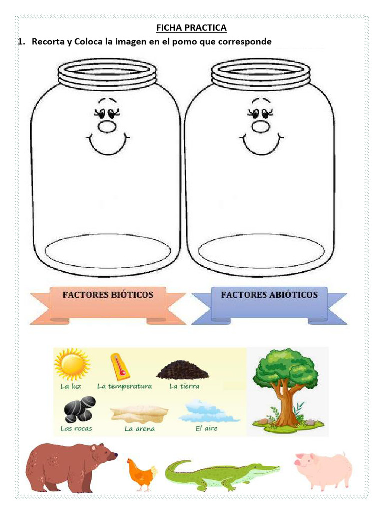 Actividades sobre Seres Bióticos y Abióticos | PDF