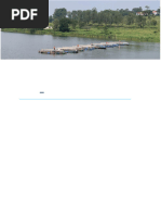 2024-29 NST2 | PDF | Agriculture | Fiscal Policy