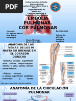 Angiotac para TEP: Protocolo y Hallazgos | PDF | Infarto de miocardio ...