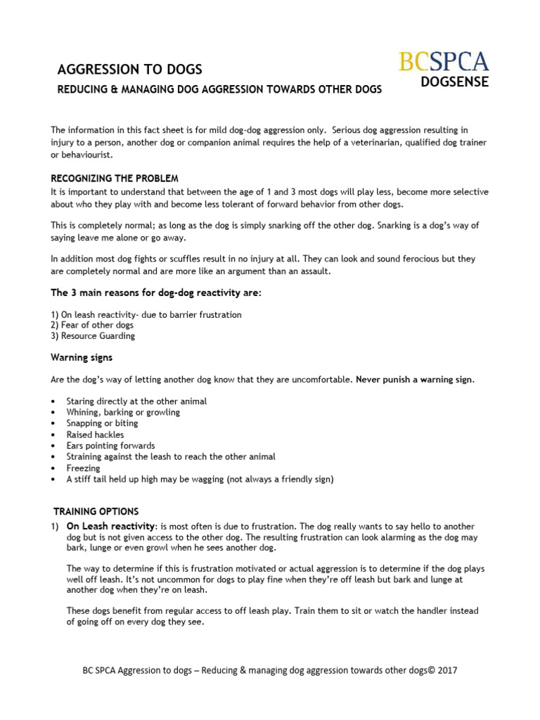 Aggression To Dogs Reducing and Managing Dog Aggression Towards Other ...