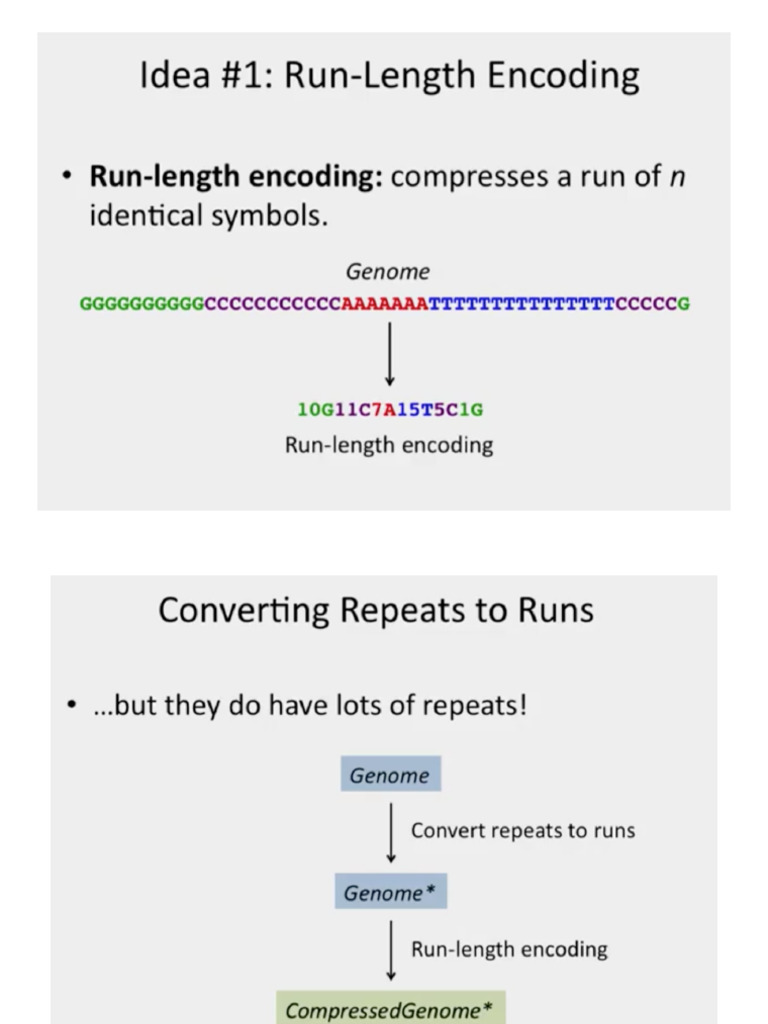 BWT-Part 1 | PDF | Algorithms | Computer Programming