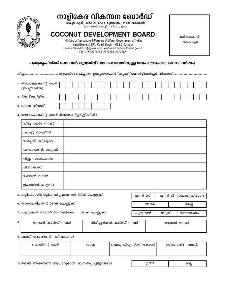 CDB AEP 1st Year Application Form | PDF
